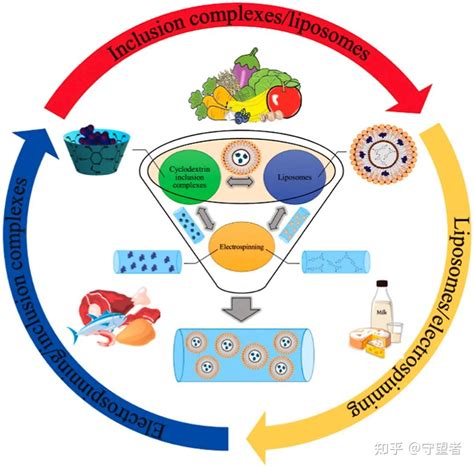 Trends Food Sci Tech：环糊精包合物、脂质体、静电纺丝及其结合用于包封植物提取物 知乎