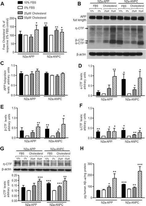 Cholesterol And App Processing A Histograms Depicting Cellular Levels