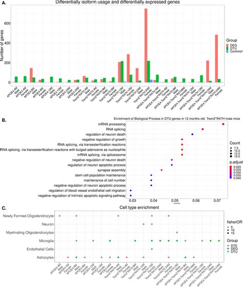 Differential Splicing Analysis Using IsoformSwitchAnalyzerR ISAR A