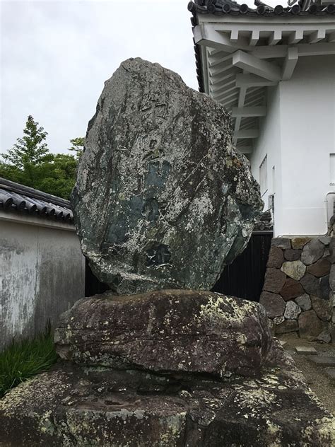 杵築城の写真縄張り図説明板 青春の巨匠さん 攻城団