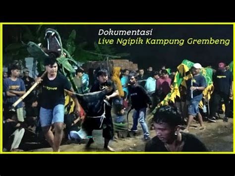 Atraksi Leang Leong Banteng Besar Dokumentasi Live Ngipek Grembeng