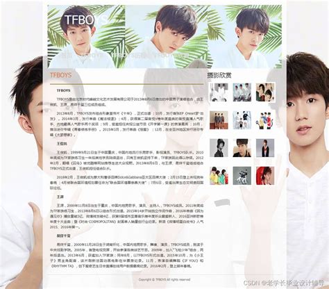 Tfboys明星人物介绍html源码 Html期末大作业 课程设计tfboys网页设计代码 Csdn博客