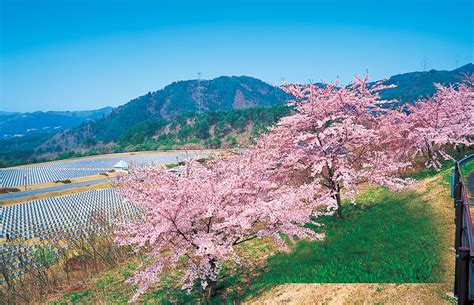 みちのく池田記念墓地公園みちのく常楽納骨堂岩手創価学会公式サイト