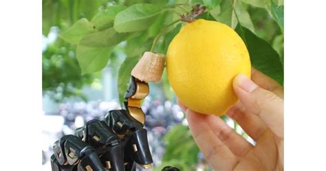 Китайски учени разработиха 3d електронна кожа