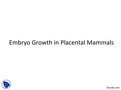 Embryo Growth In Placental Mammals Fundametnals Of Biology Lecture