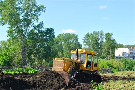 Proper Tree Care After Construction Why It Matters
