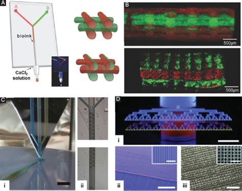 Three Dimensional Printing For Microfluidics Or The Other Way Around Pmc