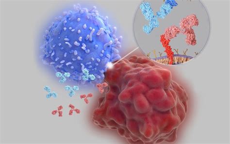 New Approach Boosts Cancer Treatment And Minimizes Side Effects