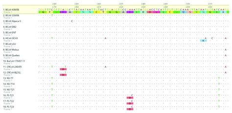 S Gene Sequence Analysis Alignment Of Partial Nucleotide Sequences And