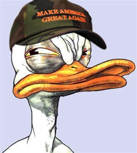 Ducks Go Quack