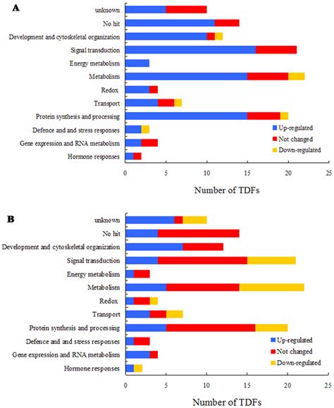 Comparison Of Transcript Derived Fragments Tdfs Homology