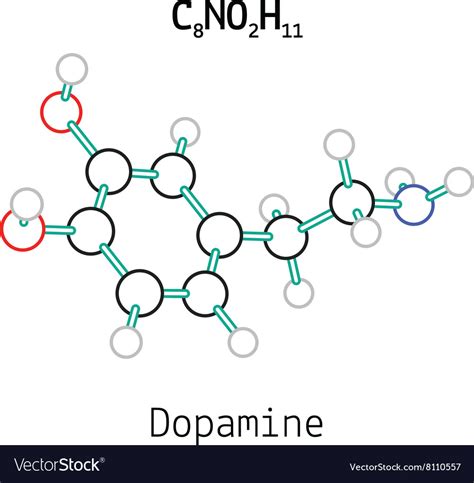 C8no2h11 Dopamine Molecule Royalty Free Vector Image