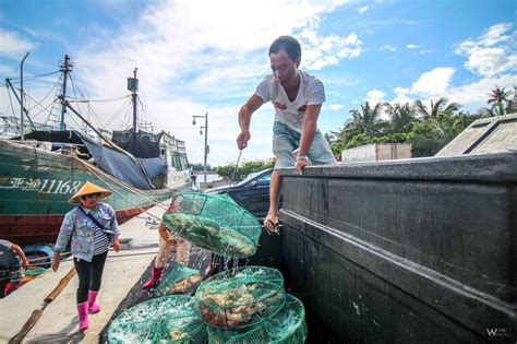 2022陵水疍家渔排美食餐厅陵水鱼排海鲜的一道最经典菜【去哪儿攻略】