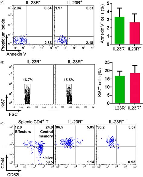 Apoptosis Proliferation And Activation Status Of Treg Subpopulations Download Scientific