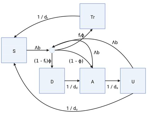 A Human State Transition Diagram Boxes Represent Human States And Arcs