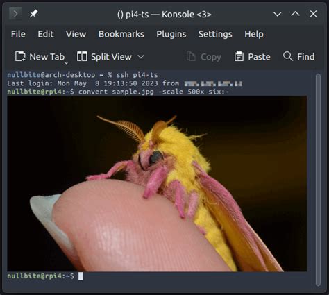 Command Line What Is The Fastest Way To View Images From The Terminal