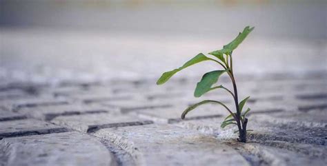 Why Concrete Is An Environmentally Friendly Building Material