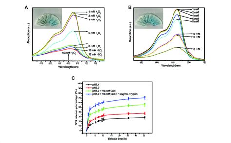 A UV Vis Spectra Of Different Concentrations Of H O Co Incubated Download Scientific