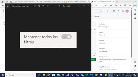 Filters · Issue 522 · Profitbasepowerbi Visuals