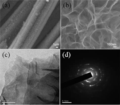 A And B Sem Images C Tem Image And D Saed Pattern Of The