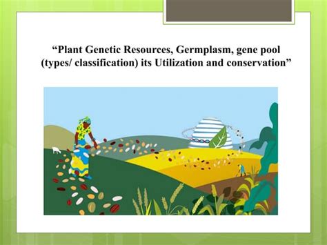 Plant Exploration Germplasm Collection Conservation And Utilization Pptx