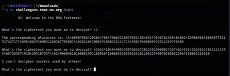RSA Decipher Oracle Beyond The Readable