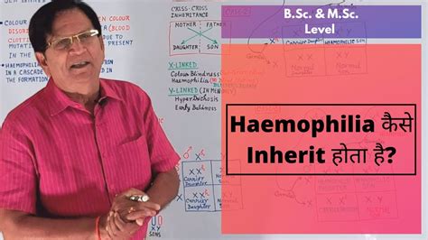 Sex Linked Inheritance Bsc And Msc Level Youtube