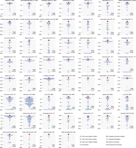 Nnu Net A Self Configuring Method For Deep Learning Based Biomedical