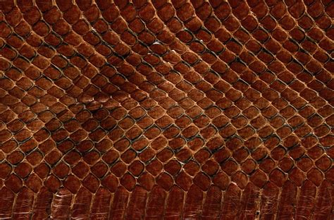 Scale Texture