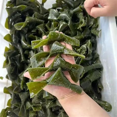 Raw Seaweed Natural Frozen Salted Vegetable Seaweed Knot Seasoned