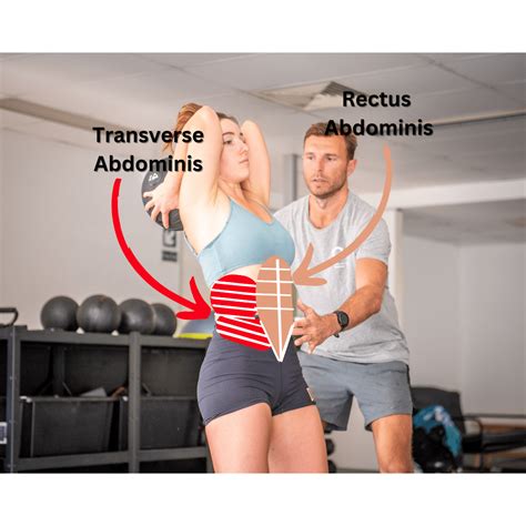 The Transverse Abdominis Tva Vs The Superficial Abs 6 Pack Why Its Crucial To Know The