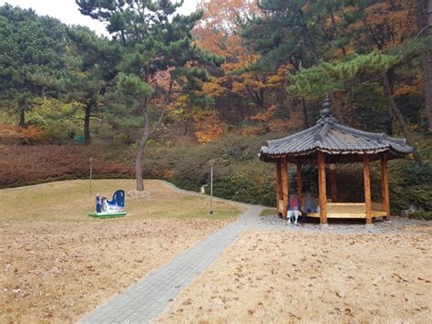 자연이 있는 부산요양병원 그랜드자연요양병원 네이버 블로그