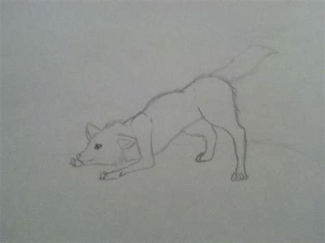 Bowing Playing Wolf By Hu0soldier On Deviantart