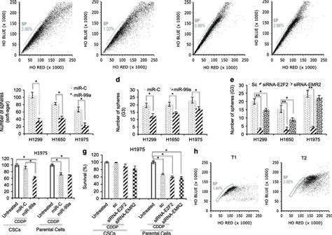 Mir 99a Modulates Stemness A And B Plots From The Facs Analysis Of