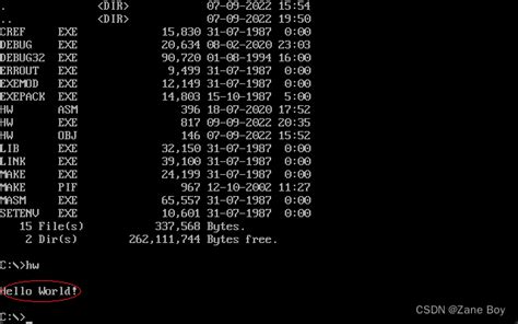 【实验报告】 微处理器原理与应用 Cpuhomework11 【masm For Windows Dosbox 虚拟dos环境 调试