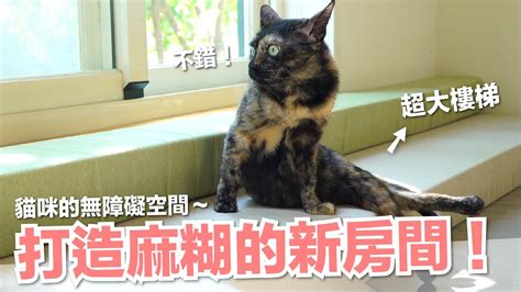 【好味小姐】打造麻糊的新房間！貓咪的無障礙空間～｜好味貓日常ep88 Youtube