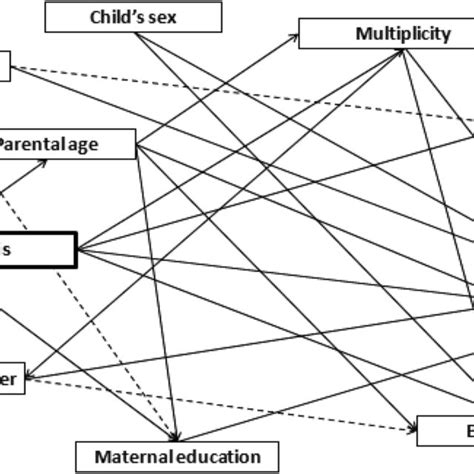 graphical representation by a directed acyclic graph dag of potential