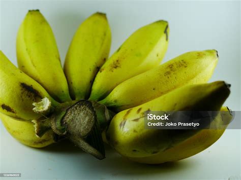 Tandan Buah Pisang Matang Kuning Dikenal Sebagai Pisang Awak Pisang
