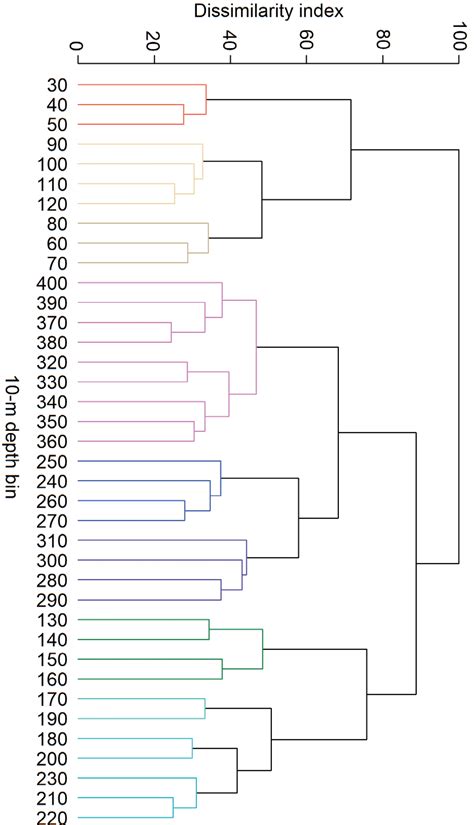 Hierarchical Cluster Dendrogram Using Bray Curtis Dissimilarity