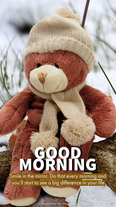 Top 999 Good Morning Teddy Bear Images Amazing Collection Good