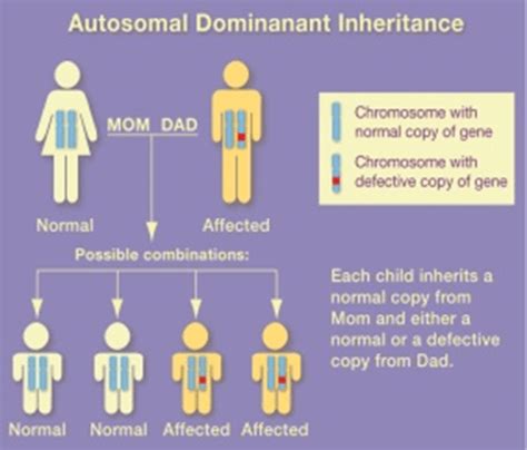 Huntingtons Disease Hd Decode Genomics