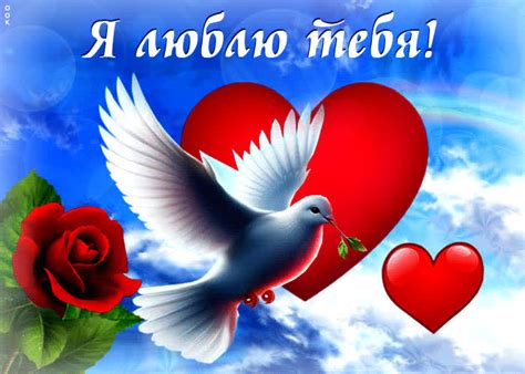 Приятная гиф открытка с голубком Я люблю тебя Скачать бесплатно на