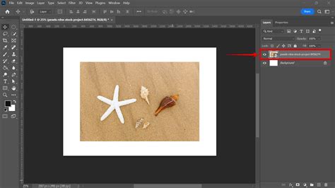 how do i put a border around an object in photoshop web design