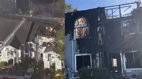 1 Injured Dog Dies After Orlando Apartment Fire Fire Rescue Says
