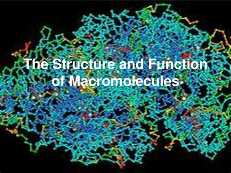 Ppt The Structure And Function Of Macromolecules Powerpoint