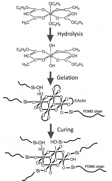 Schematic Illustration Of The Formation Of Pdms Based Hybrids With