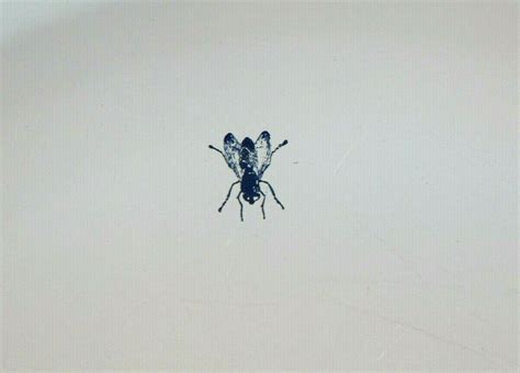 Vtg Robert Steffy San Francisco Enamelware Bagatelle Fly Plate Cup Lot Of 2 3916440730