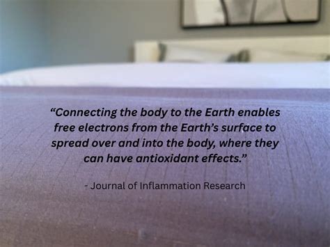 Grounding Devices Vs Grass Which Is Better