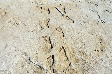 The Oldest Known Human Footprints In North America Were Discovered
