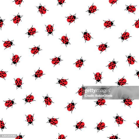 Ladybug Background